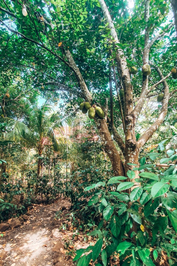 Backpacking Nicaragua | Travel Guide - Jill on journey