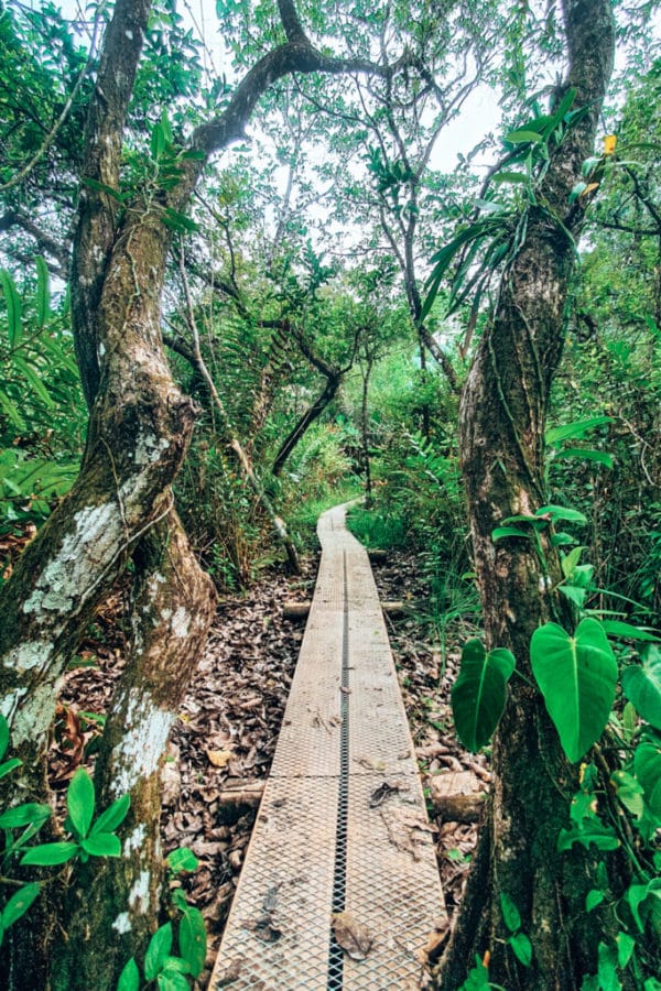 Backpacking in Panama | Amidst two oceans - Jill on journey