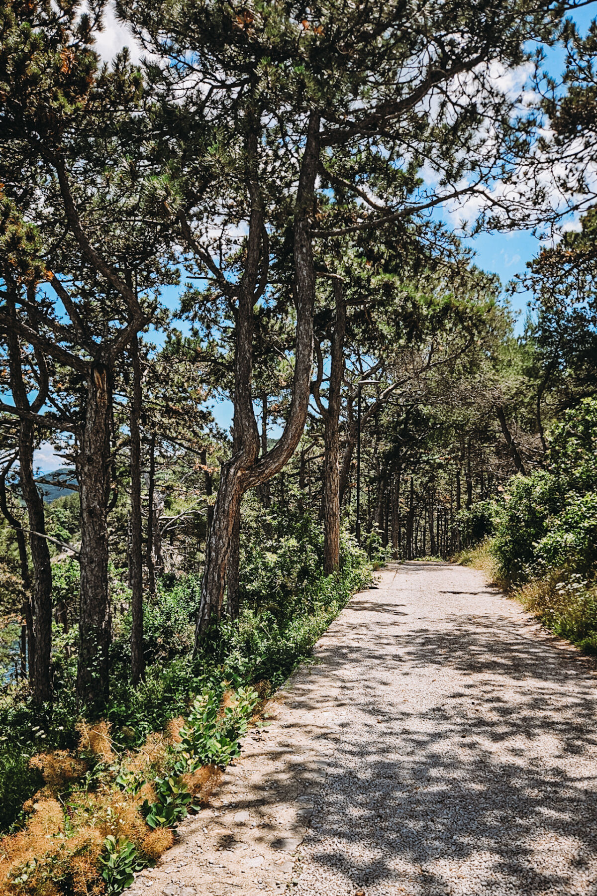 Things to do in Krk Island, Croatia | Highlights & hidden gems - Jill ...