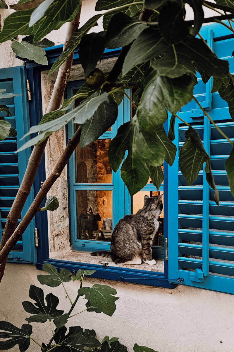 Things to do in Krk Island, Croatia | Highlights & hidden gems - Jill ...